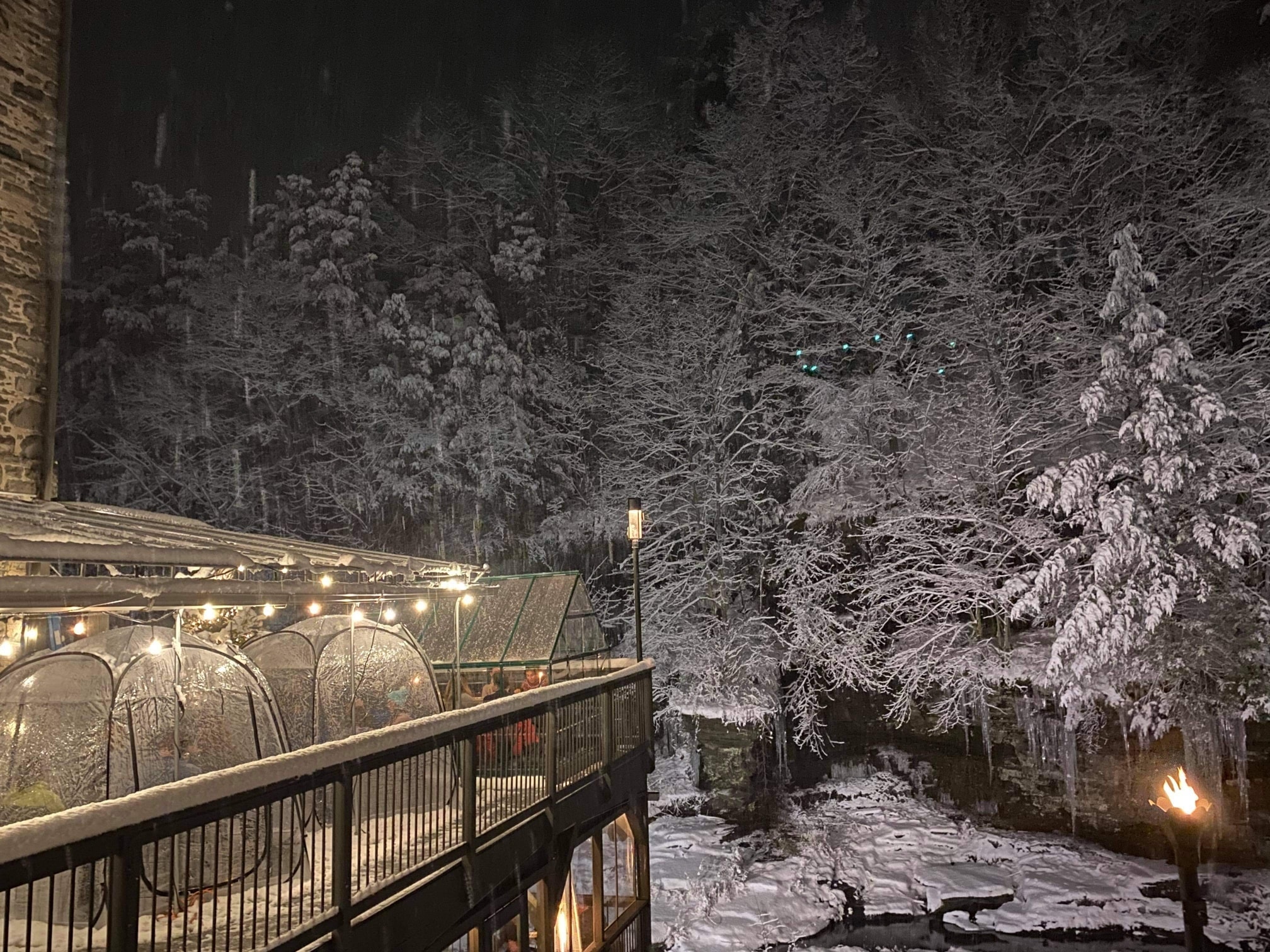 Step Inside a Snow Globe for Greenhouse Dining at Glass-wine.bar ...